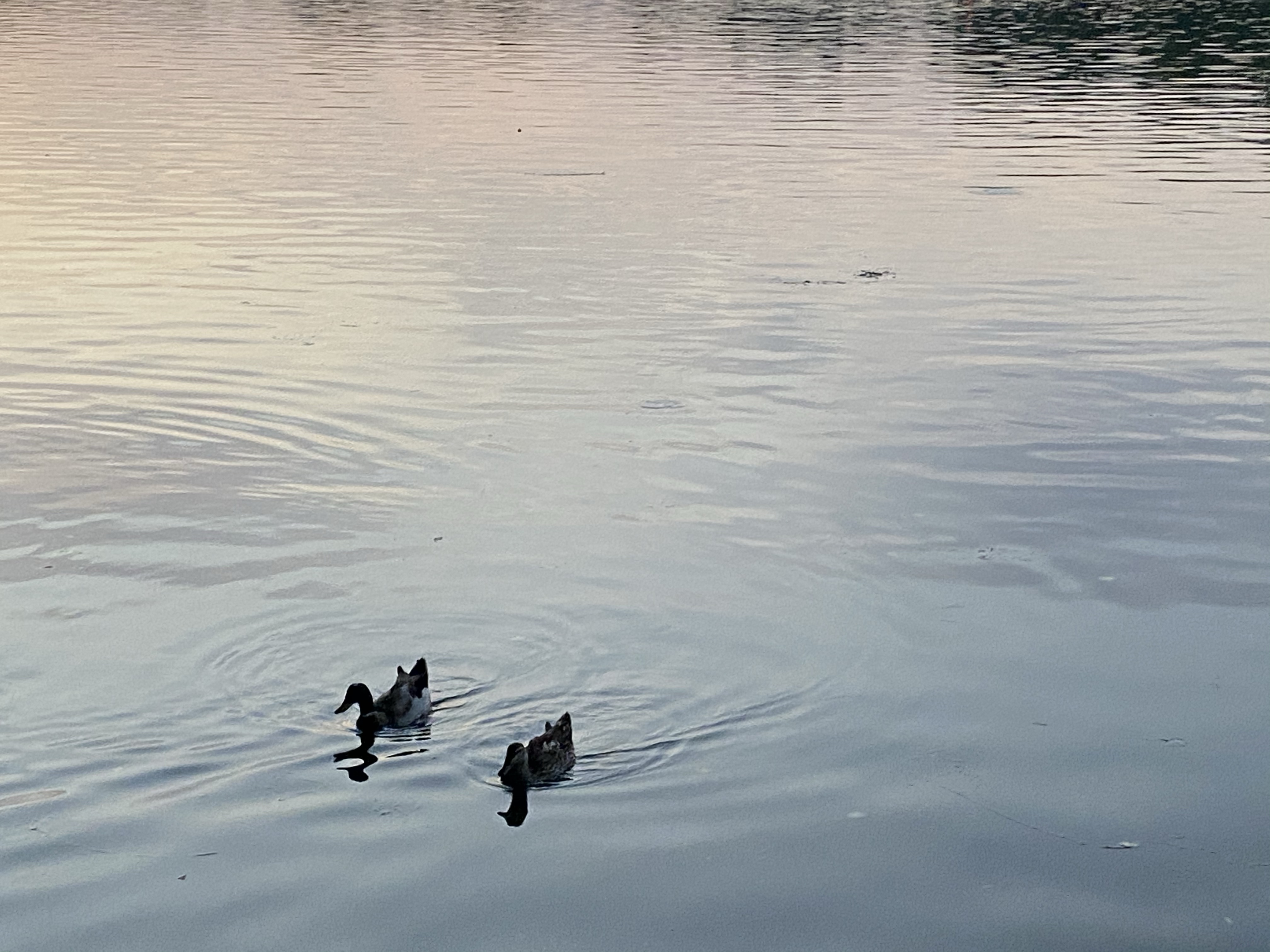 img_1031 – Nicholas Quirke Was….