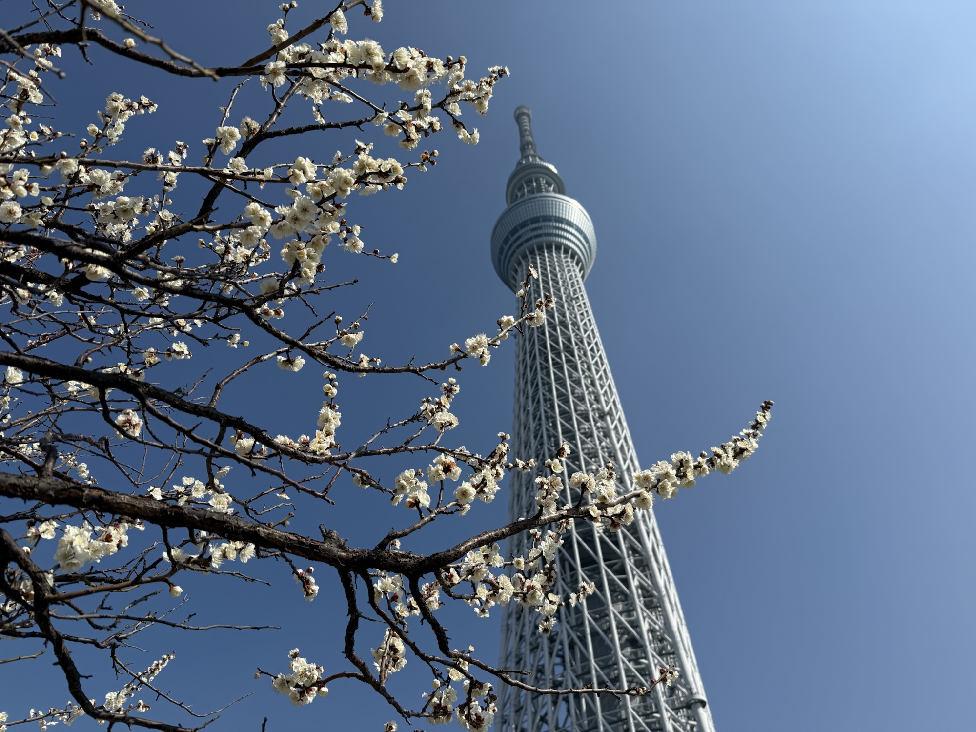Tokyo Time. – Nicholas Quirke Was….